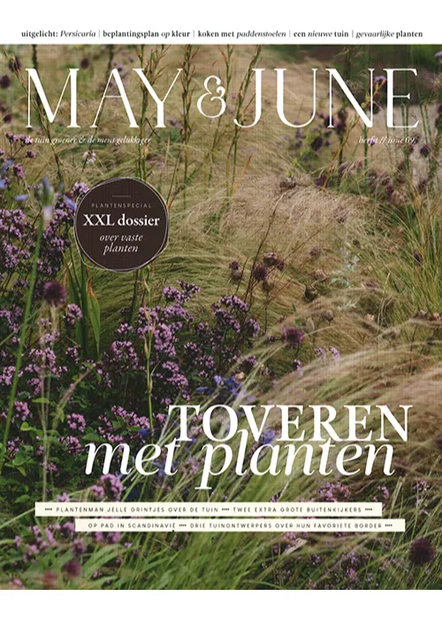 May & June – 11 2024 - Magvilla